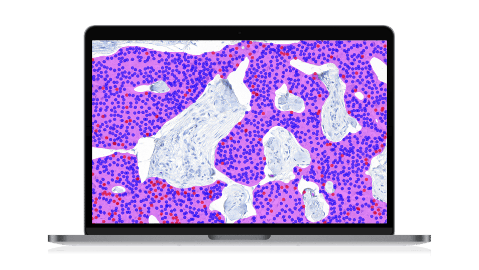 Conference | NHS Pathology South