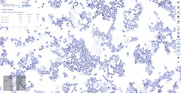 Case study: evaluating stages of the estrus cycle with AI