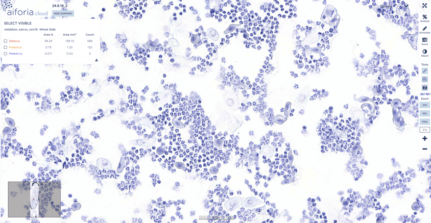 Case study: evaluating stages of the estrus cycle with AI