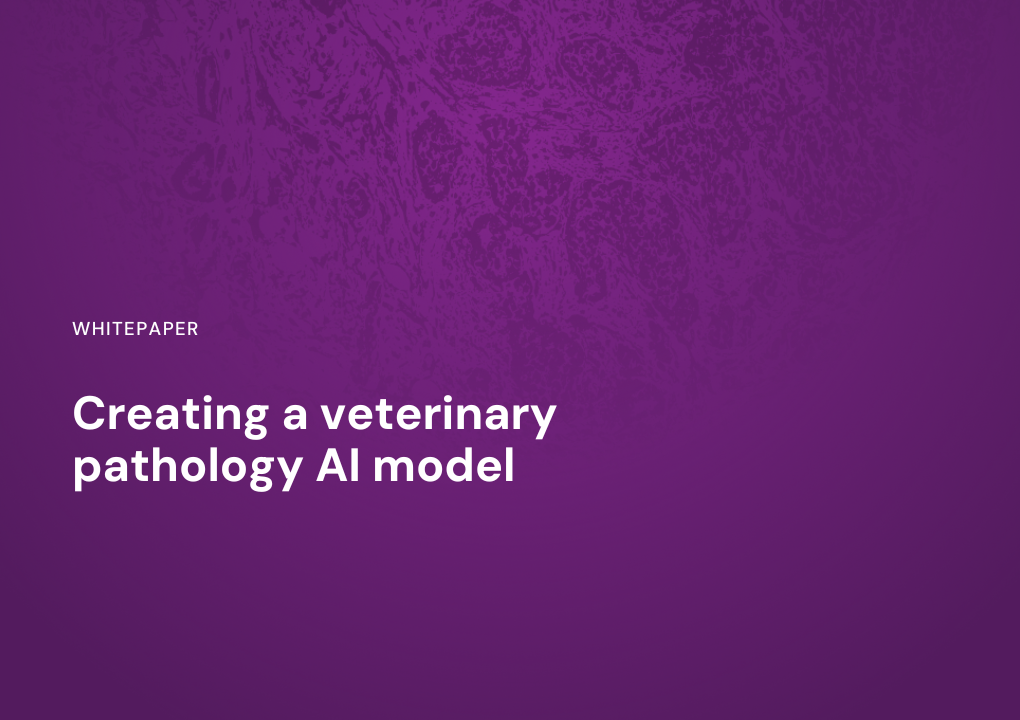 Insights and resources for AI in pathology