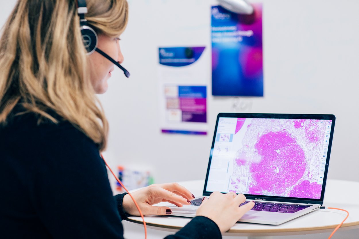 Aiforia | Our Products | Aiforia Create