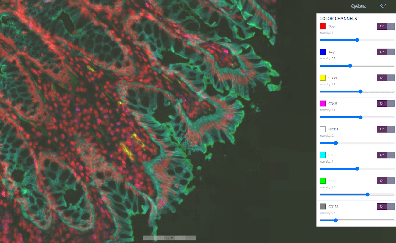 Aiforia | Our Products | Aiforia Create