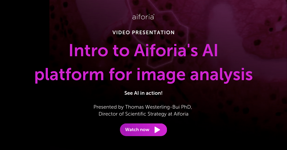Annotations tips and tricks