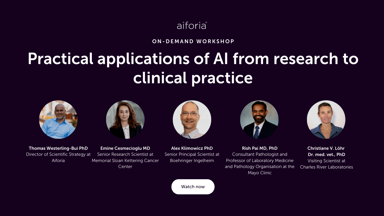 Virtual workshop I Practical applications of AI
