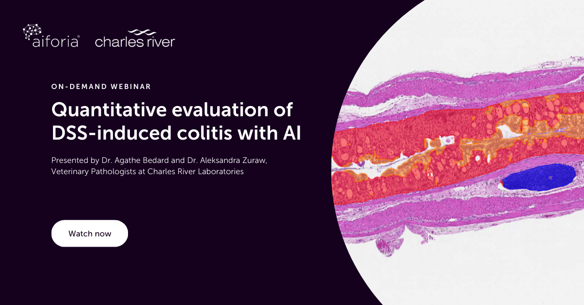 Quantitative evaluation of DSS-induced colitis with AI