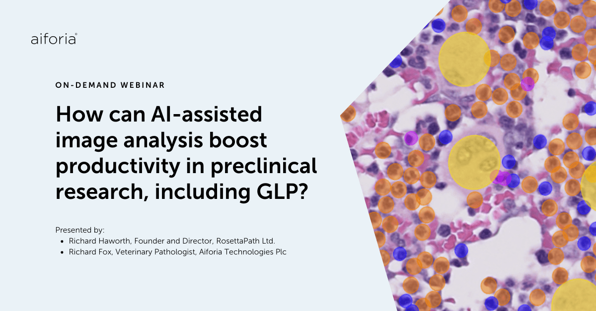 Webinar | How can AI-assisted image analysis boost productivity in ...