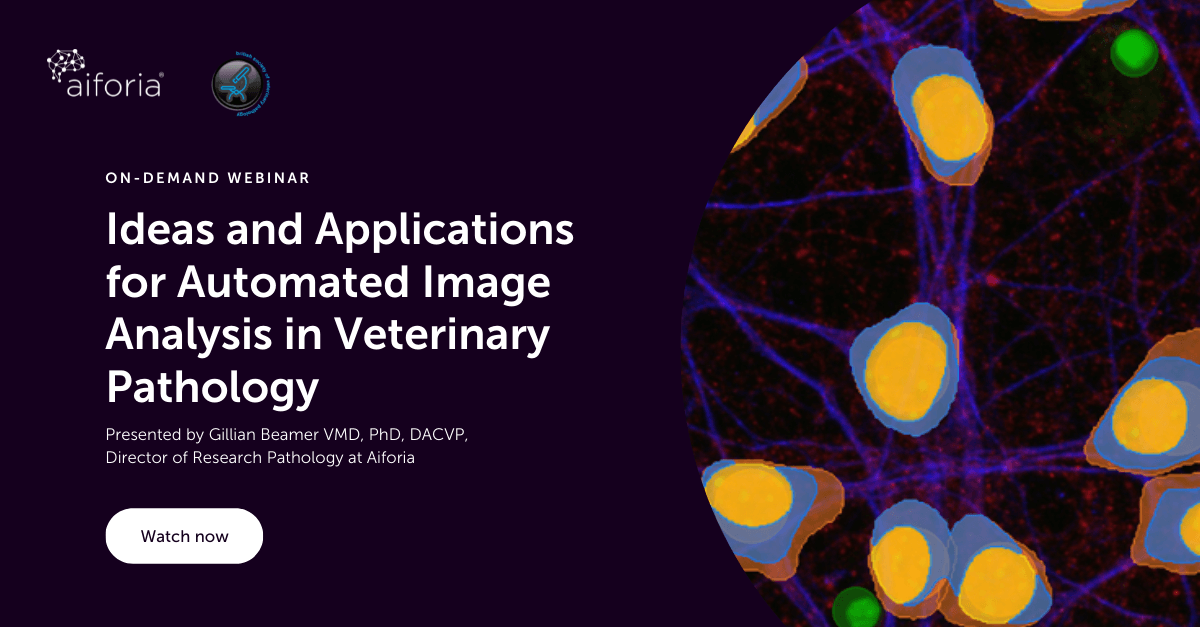 Webinar | Ideas and Applications for Automated Image Analysis Vet Path
